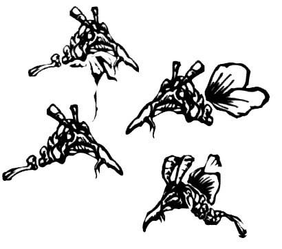 Panzer Dragoon Legacy - Panzer Dragoon (Tiger Electronics) Dark Dragon ...