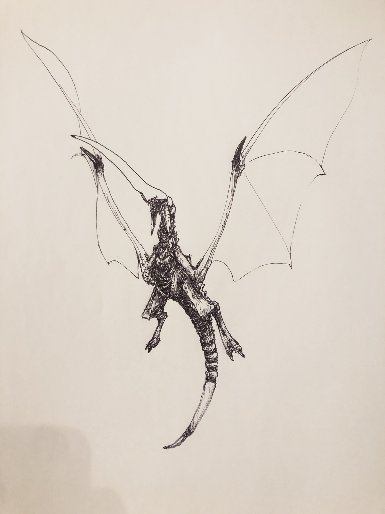 Panzer Dragoon Legacy - Panzer Dragoon Hand Drawing